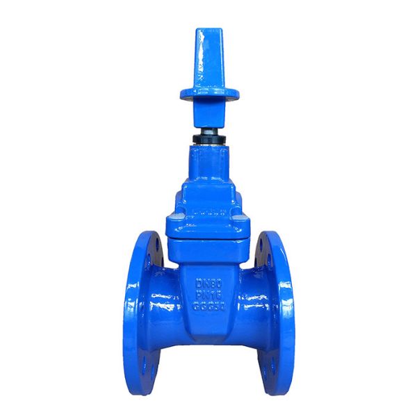 Flange Type Soft Seated Water Gate Valves Rubber Wedge Gate Valve from ...