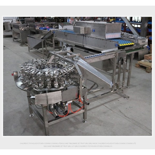 Quality Industrial Automatic Egg Breaker & Yolk Separator Machine 4000pcs/H for sale