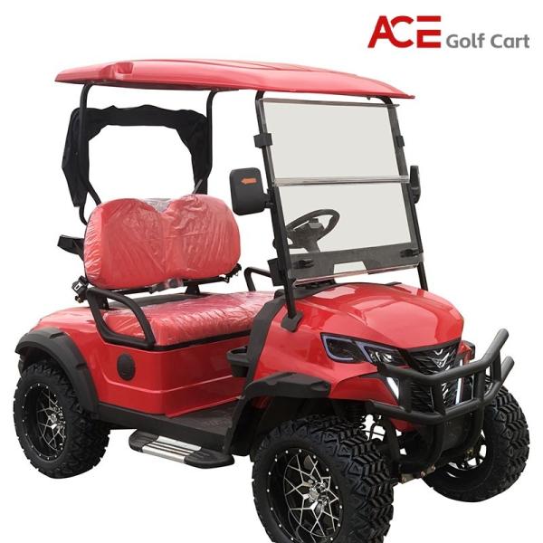 Quality Steel Frame 2 Seater Golf Cart 80km Range Electric Vehicle With 14inch Tires for sale