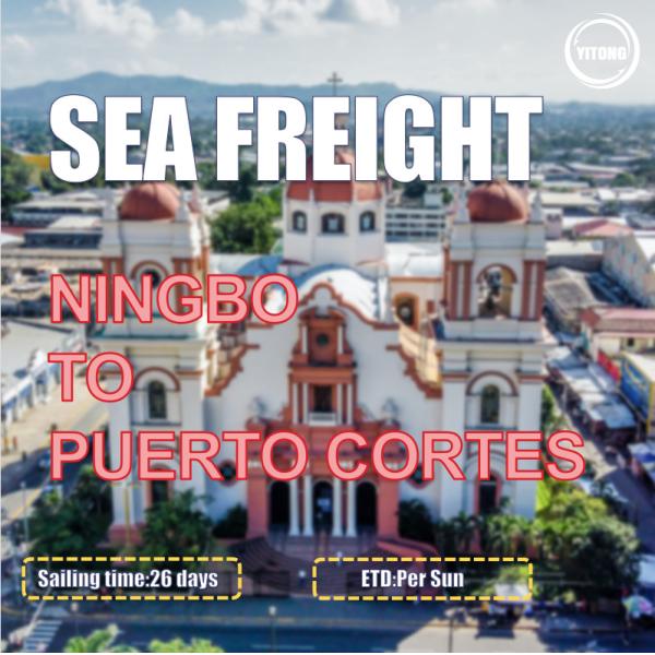 Quality 26 Days Sailing  Worldwide Sea Freight Services From Ningbo To  Puerto Cortes Honduras for sale