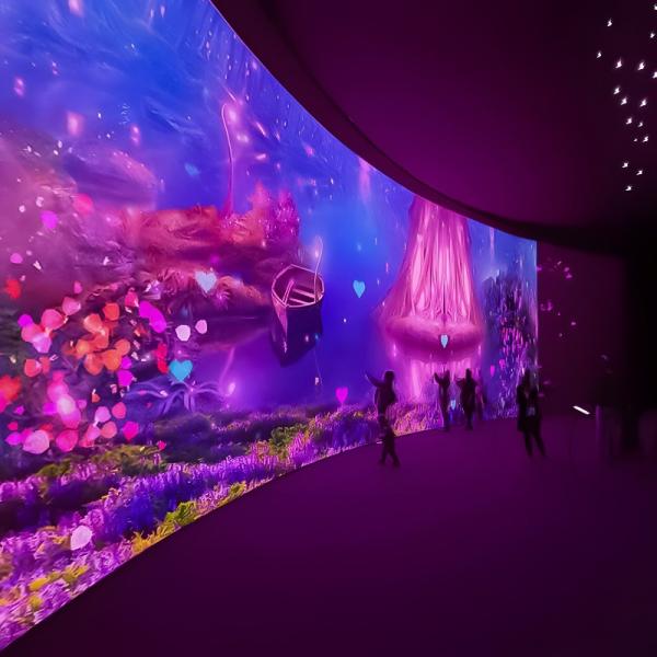 Quality Northern Lights 3d Wall Interactive Games Holographic Immersive Projection for sale