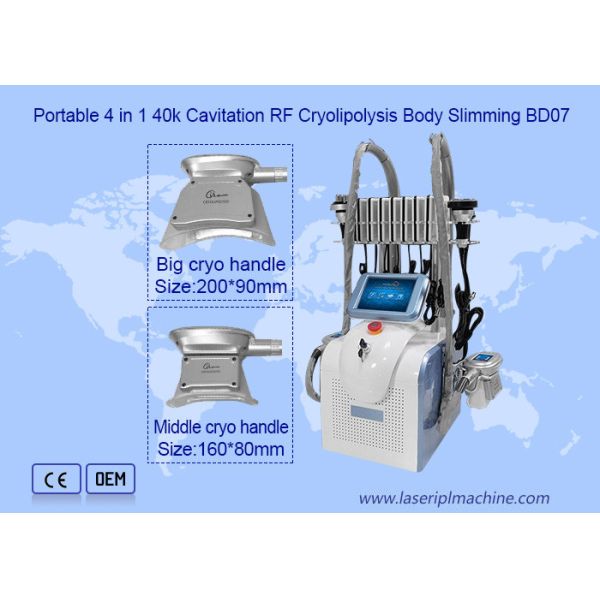 Quality 2 Handle 650nm 1mhz Cryolipolysis Slimming Machine for sale