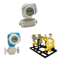 Quality Chinese Skid-mounted Equipment E+H Endress + Hauser Proline Promag H 300 Electromagnetic Flowmeter Transmitter for sale