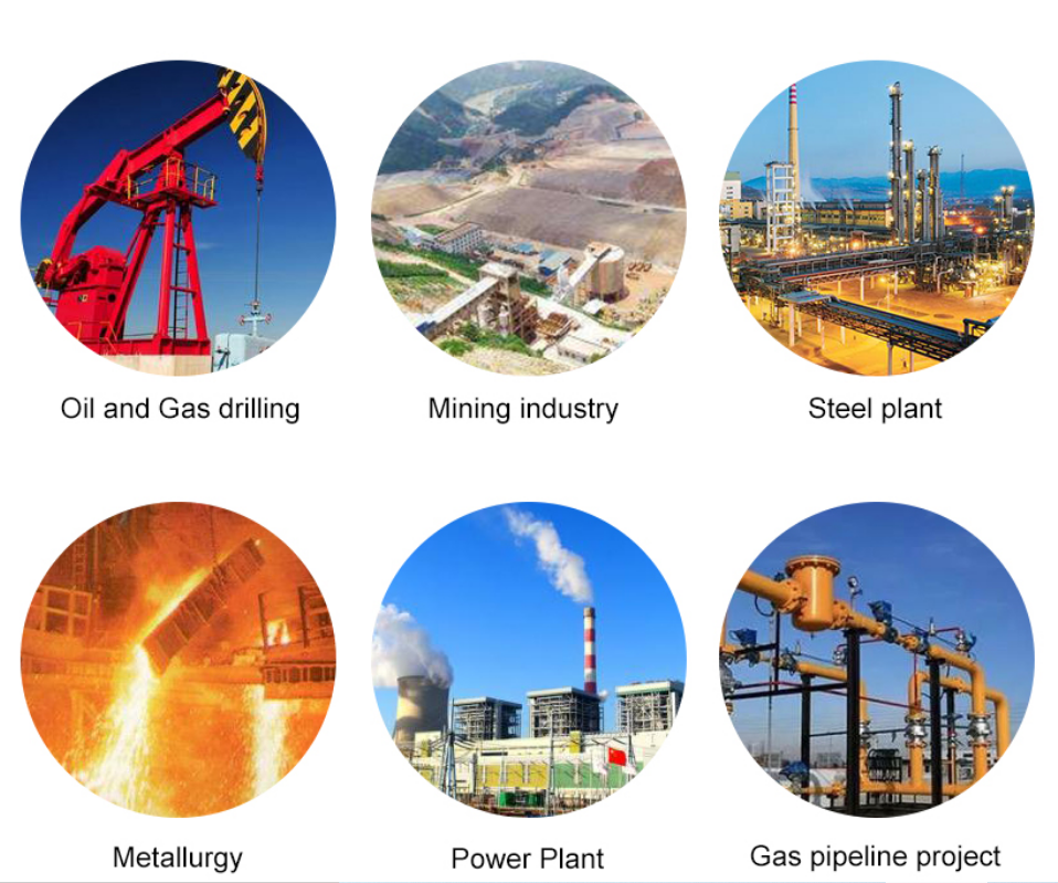 Portable Multi Gas Detecto Main Features