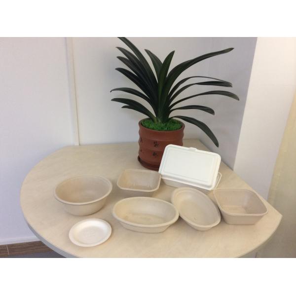 Quality Easy Operate Sugarcane Bagasse Plates Machine , Bamboo Cutlery Making Machine for sale
