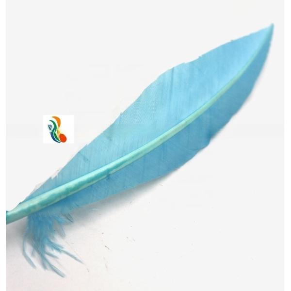 Quality 25-30cm Stripped Colored Turkey Feathers Quill Dyed For Decorative for sale