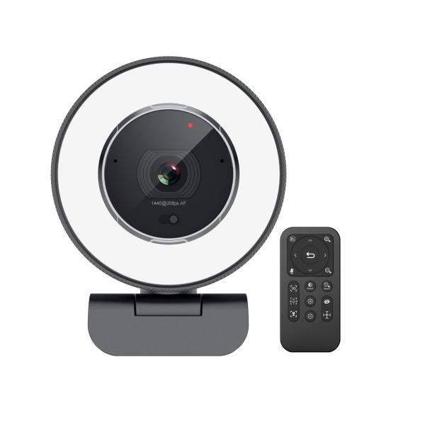 Quality Automatic High Definition Webcam With Built In 2pcs Microphone 30fps 60fps Frame Rate for sale