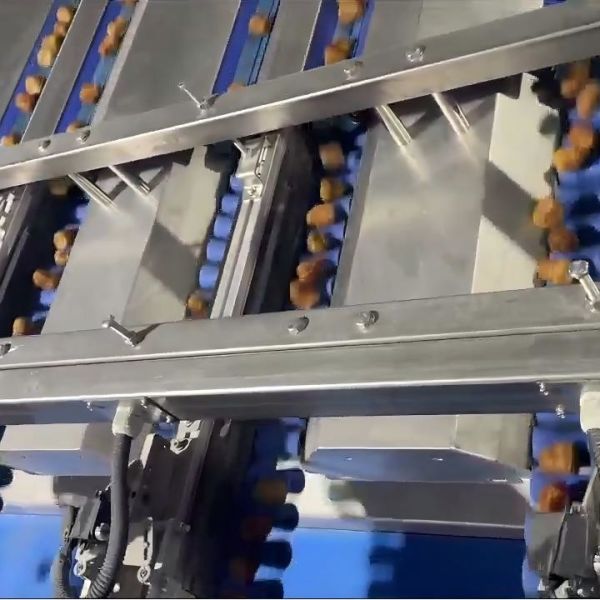 Quality Industrial Dates Sorting Machine for sale