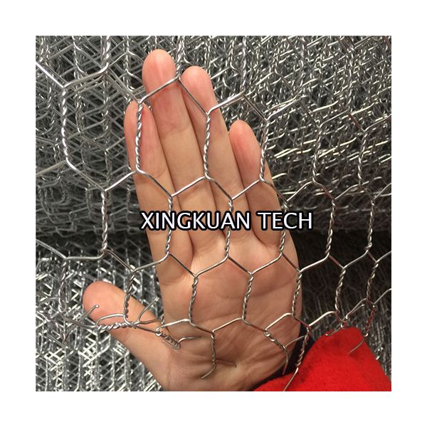 Poultry Farms Fence , Galvanized Hexagonal Wire , Chicken Mesh Wire ...