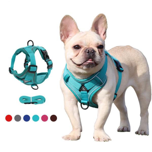 Quality Adjustable Breathable Dog Vest Safety 1.5m Traction Leash No Pull Dog Harness Set Personalized for Safe and Stylish Walks for sale