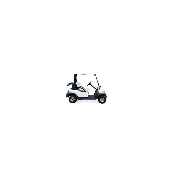 Quality 48V Lithium Battery Powered Electric Golf Carts NIDEC KDS 48V 5KM ACIM Motor,2 passenger electric golf cart for sale