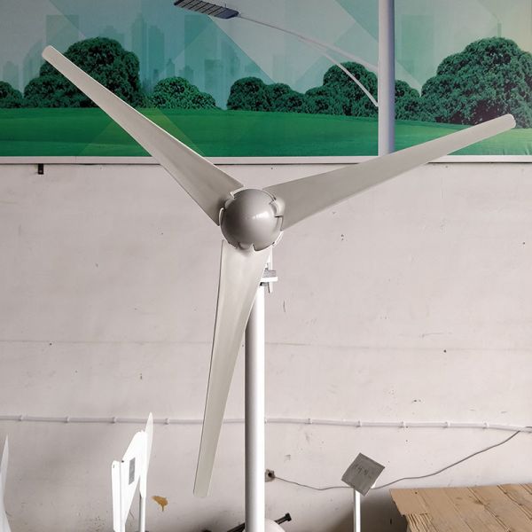Quality IP65 Small Horizontal Wind Turbine 24V 48V 600W 800W Horizontal Axis Wind Machine for sale