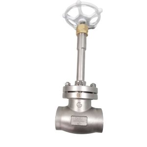 Quality SS304 CF8 DN50 Low Temperature Socket Weld Globe Valve for sale