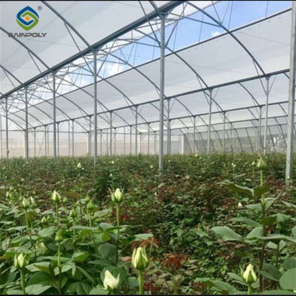 Quality Customization Commercial Gothic Type Greenhouse With Electric Systems for sale