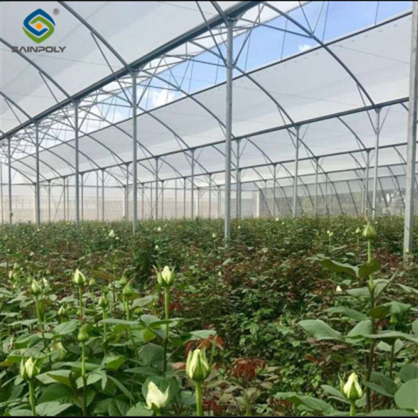 Quality Intelligent Smart Agricultural Gothic Greenhouse Customization Size for sale