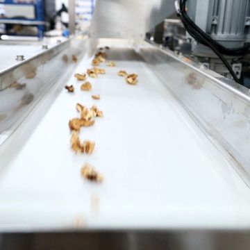Quality 2 Tons Automatic Feeding Walnut Shelling Machine Featured Kernel Shell for sale