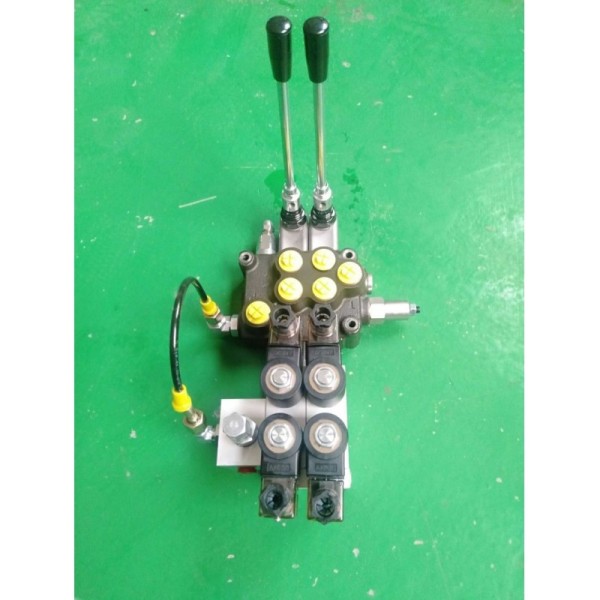 Quality Wireless Remote Control Multiway Valve Straight Through Style 24V for sale