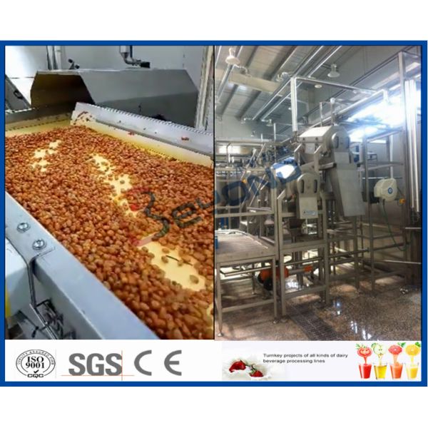 Quality Fruit Processing Plant Juice Making Machine Orange Juice Extractor With Washing / Pulping System for sale