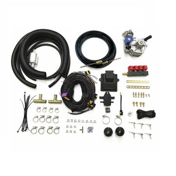 Quality Multipoint Injection Gasoline To CNG LPG Conversion Kits For Automotive for sale