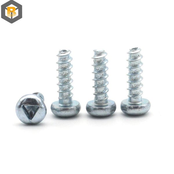 Quality Polishing Special Applications Security Fasteners BY-0515 for Customized for sale