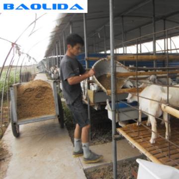 Hot-dip Galvanized Steel Poultry Film Tunnel Greenhouse Waterproof Sheep