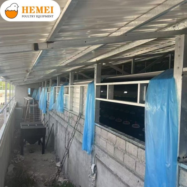 Quality CCS4 Floor Type Broiler Equipment for sale
