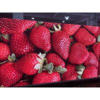 Quality Indoor Die Casting Aluminum Cabinet P2.5 640x640mm LED Display Screens Full Color Rental LED Display Screens，1100 bright for sale