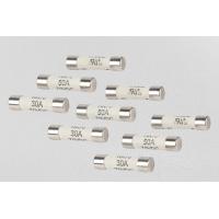 China Telecommunication Ceramic Tube Fuse , Fast Acting 100 Amp 250v Fuse factory