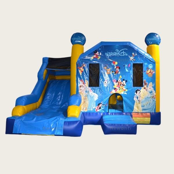 Quality Commercial Inflatable Bouncy Castle with Customized Size and Bluey Bounce House for sale
