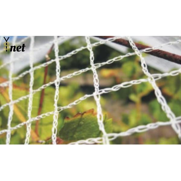 Quality 7GSM Bird Proof Net Green Bird Proof Netting For Fruit Trees for sale