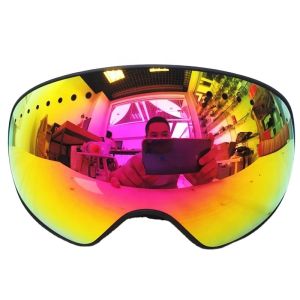 Quality 2025 Winter New Style Adult Ski Goggles - Magnetic Attachment Double-Layer Anti for sale