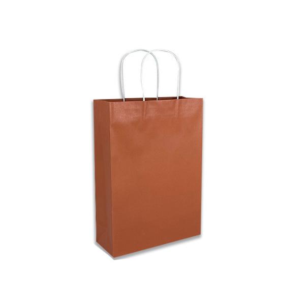 Quality CMYK 300gsm Gift Paper Shopping Bags OEM Pantone for sale