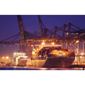Quality DDP Sea Shipping Services From China for sale