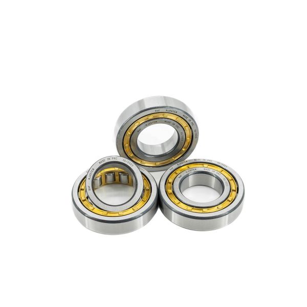 Quality Long Life N/NU/NJ/NF1011EM Cylindrical Roller Bearing 55*90*18mm for Heavy Machinery for sale