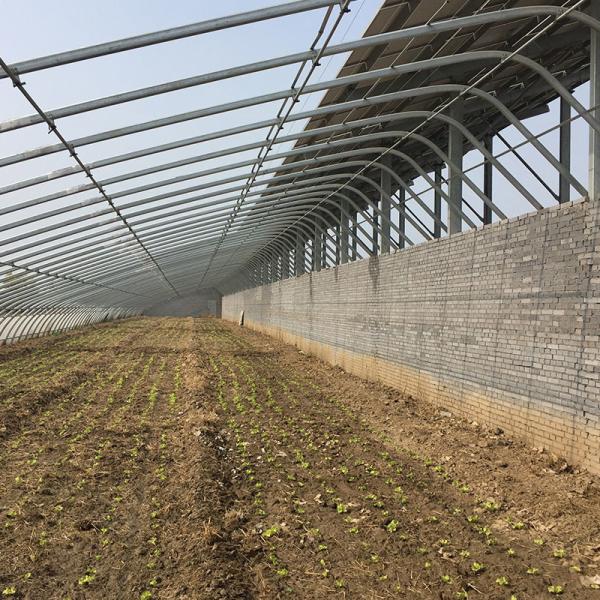 Quality Vegetable Fruits Flowers Winter Sunlight Solar Greenhouse Chinese Style for sale