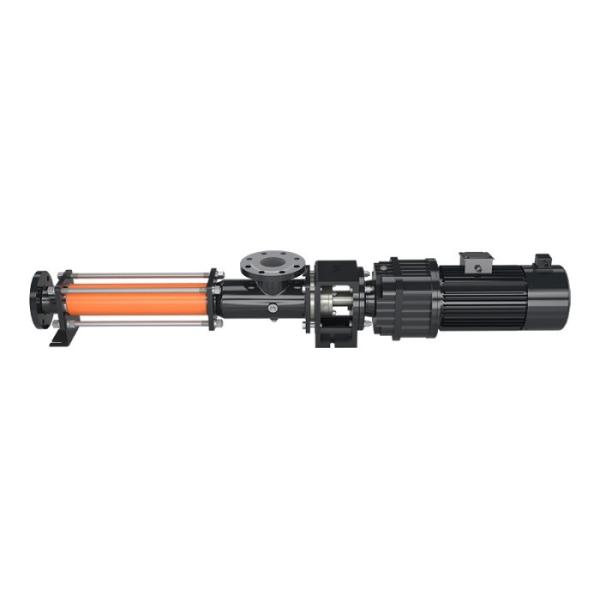 Quality Z Type Direct Coupled Pump Direct Coupled Progressing Cavity Pumps for sale