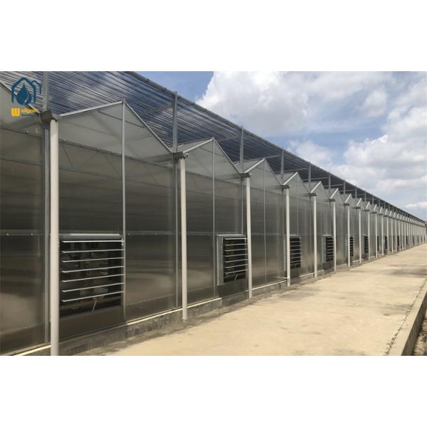 Quality Commercial Polycarbonate Green House Customized Heavy Duty Greenhouse For Fast Growing Crops for sale