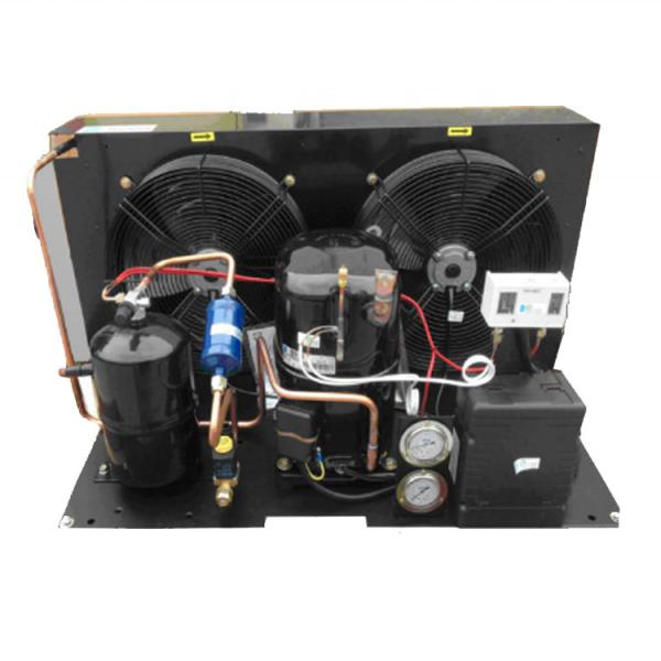 Quality KUB/TAJ2464Z Chiller parts Explosion-proof fan TAJ2464Z for sale