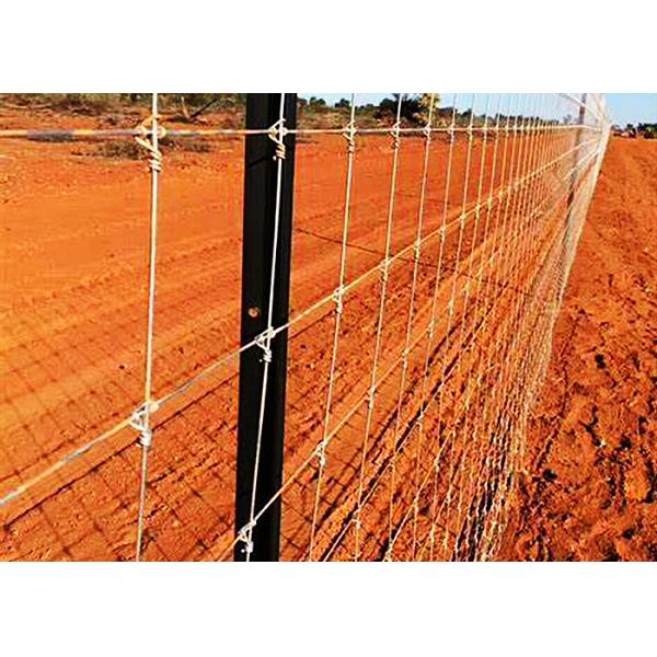 Quality Galvanized Grassland Wire Fence Cattle / Sheep / Field / Deer Farm Fence for sale
