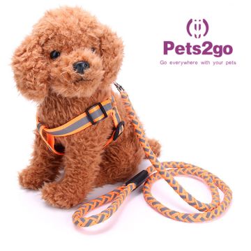 Quality Pet Training Dog Shock Collar Puppies Tools Basic Concepts Learning Curve for sale