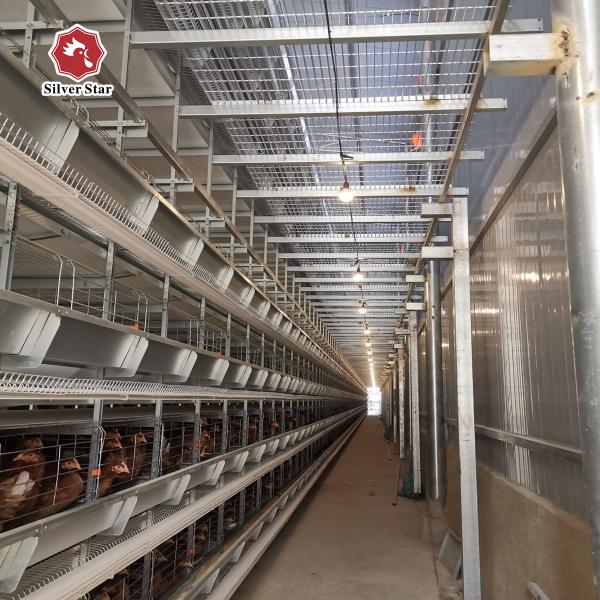 Quality Galvanized Poultry Broiler Cage Laminated Multi Level Prefabricated for sale