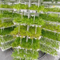 Quality Vertical Farming Hanging Plant Hydroponic Intelligence Farming for sale