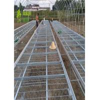 Quality Nobler Greenhouse Grow Beds New Premium Stationary Growing Bench Systems for sale