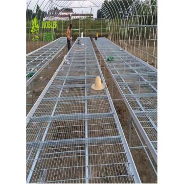 Quality Nobler Greenhouse Grow Beds New Premium Stationary Growing Bench Systems for sale