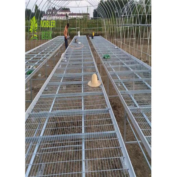 Quality Nobler Greenhouse Grow Beds New Premium Stationary Growing Bench Systems for sale