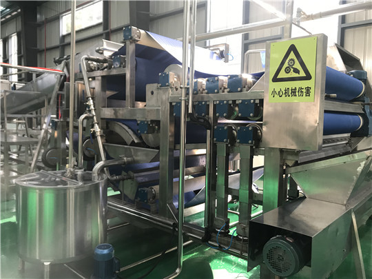 Quality 15T/Day SS304 Concentrated Pineapple Juice Production Line for sale