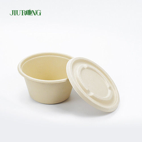 Quality Eco Friendly Sugarcane Food Container Biodegradable Bagasse Takeaway Boxes 600ml for sale