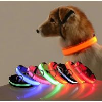 Quality Customized Nylon LED Night Safety Flashing Glow Dark Pet Dog Collar Leash with for sale
