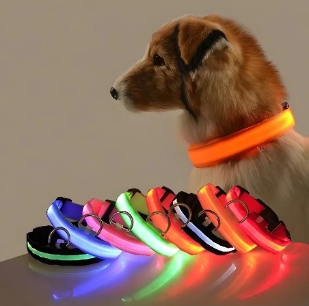 Quality Adjustable Waterproof Flashing Light Up Dog Collar for Nighttime Walking for sale