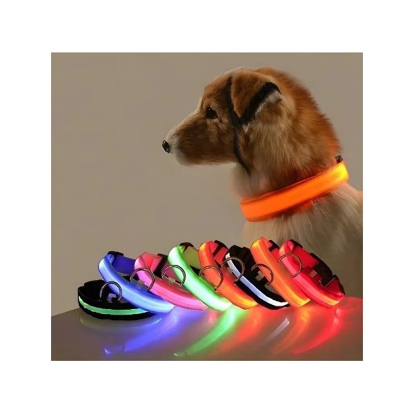 Quality Customized Nylon LED Night Safety Flashing Glow Dark Pet Dog Collar Leash with Logo for sale